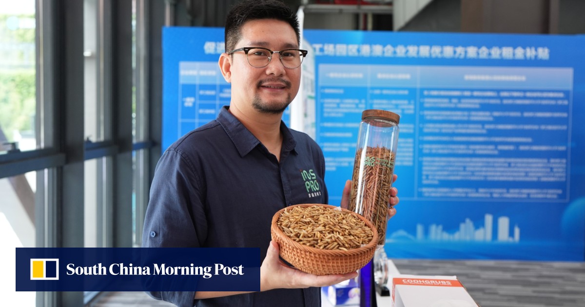Why 2 Hong Kong entrepreneurs decided to move their start-ups over mainland China border | South ...