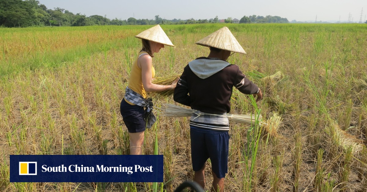 Su-Lin Tan - Journalist Profile - Intelligent Relations