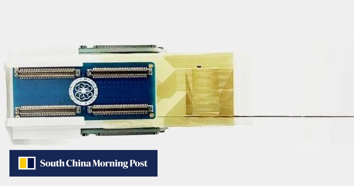 Chinese neural probe could have ‘transformative impact’ on brain ...