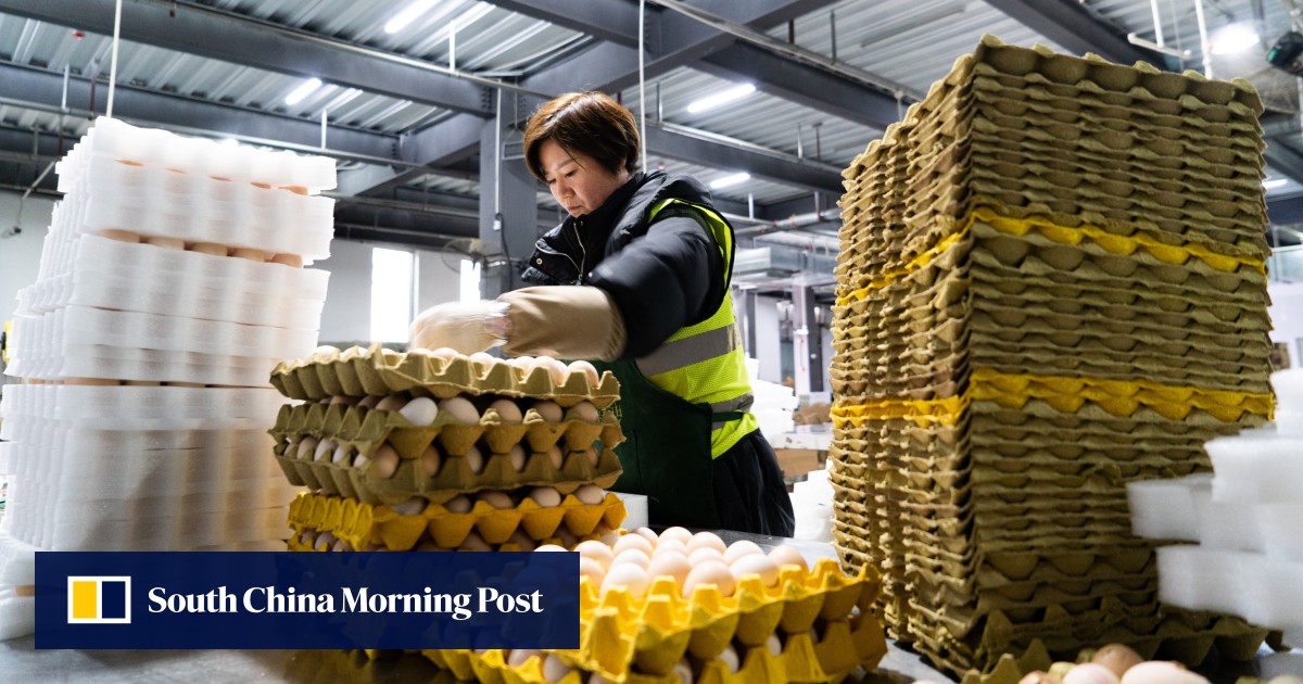China’s property crisis forces local hukou reform, laying groundwork ...
