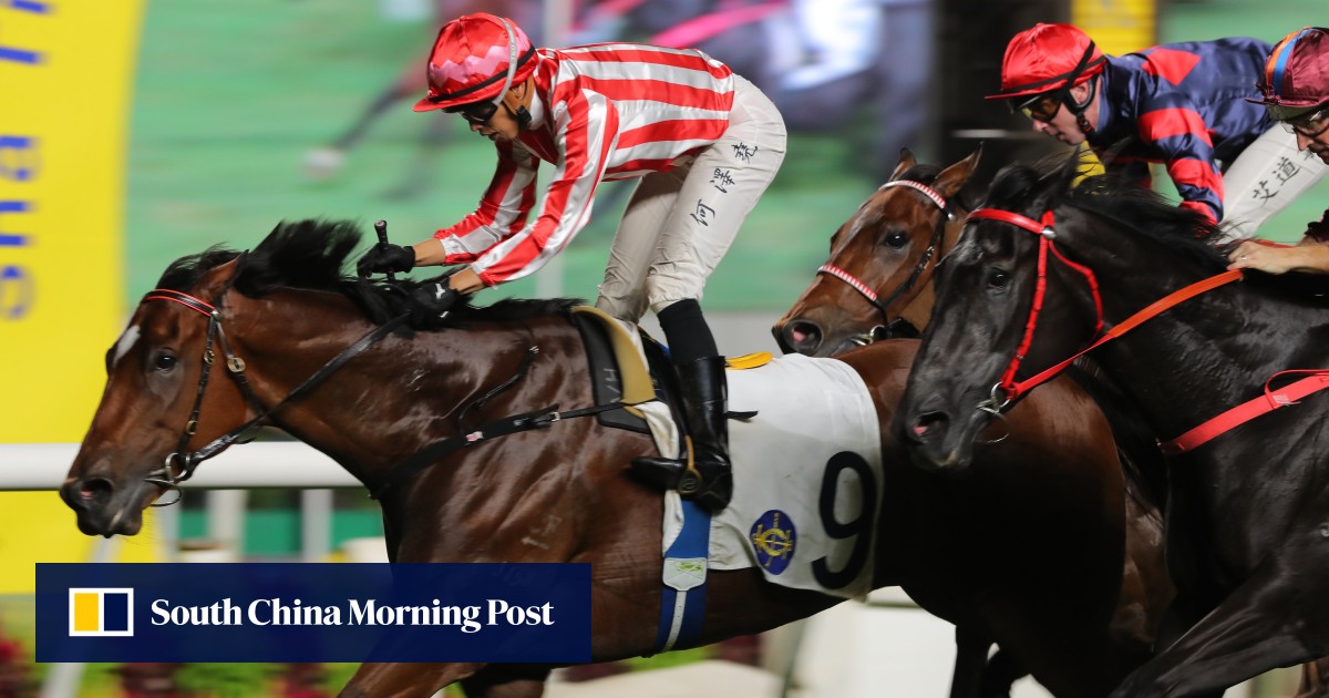 Trainers’ championship finely poised as Francis Lui claws back deficit ...