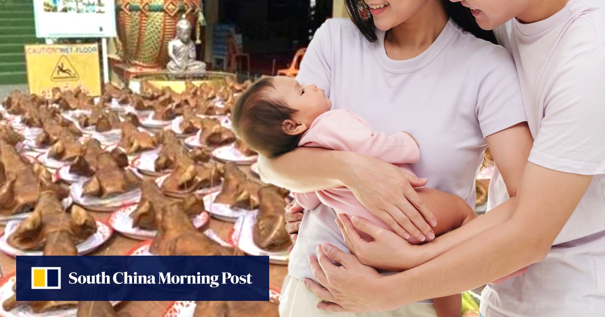 Thai man offers heads of 99 pigs to Buddhist deity who ‘gave’ him wife ...