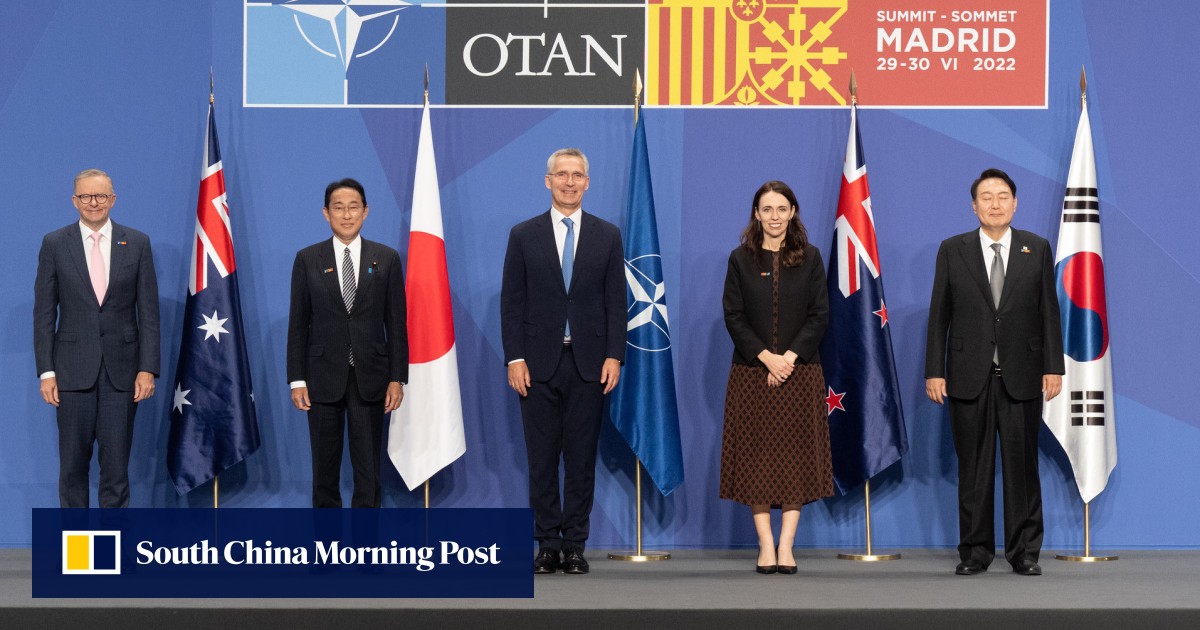 Nato seeks to expand partnerships with Indo-Pacific states, US official ...