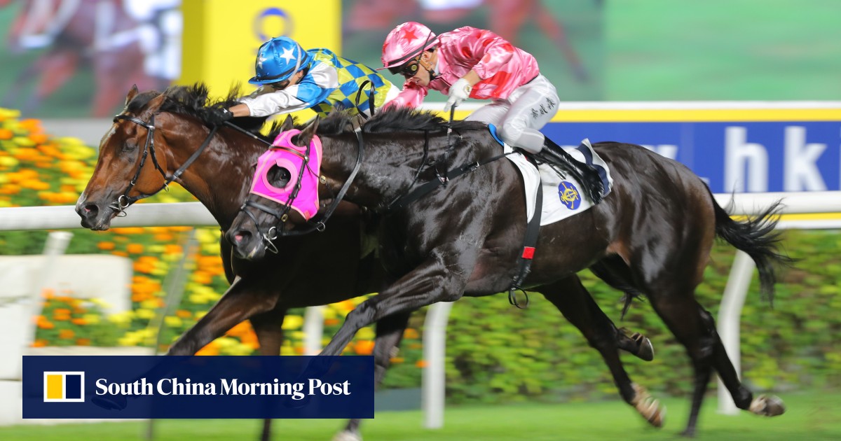 Francis Lui takes ‘strongest team’ of the season to Sha Tin finale in ...