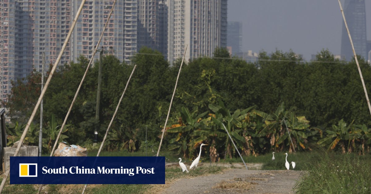 Hong Kong to seek expediting Northern Metropolis project after ...