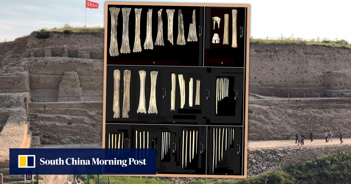 4,000-year-old bone workshop tells tale of China’s transition out of ...