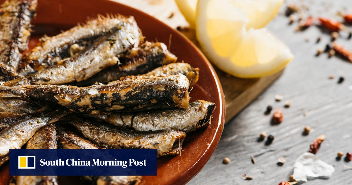 Hong Kong’s Sardine Festival is about far more than fish: what to know ...