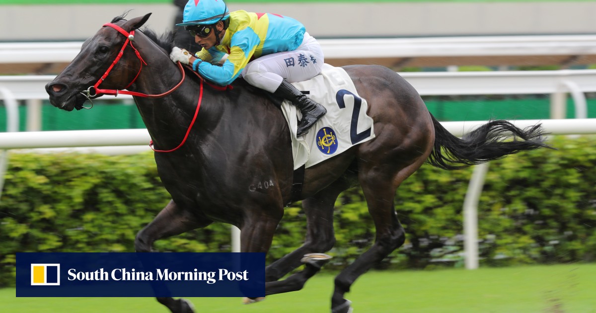 HK racing off-season update: Victor The Winner ‘confirmed for the ...