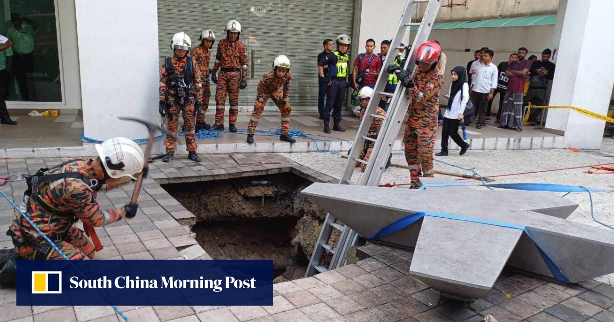 Malaysian rescuers race to save Indian woman swallowed by 8-metre ...