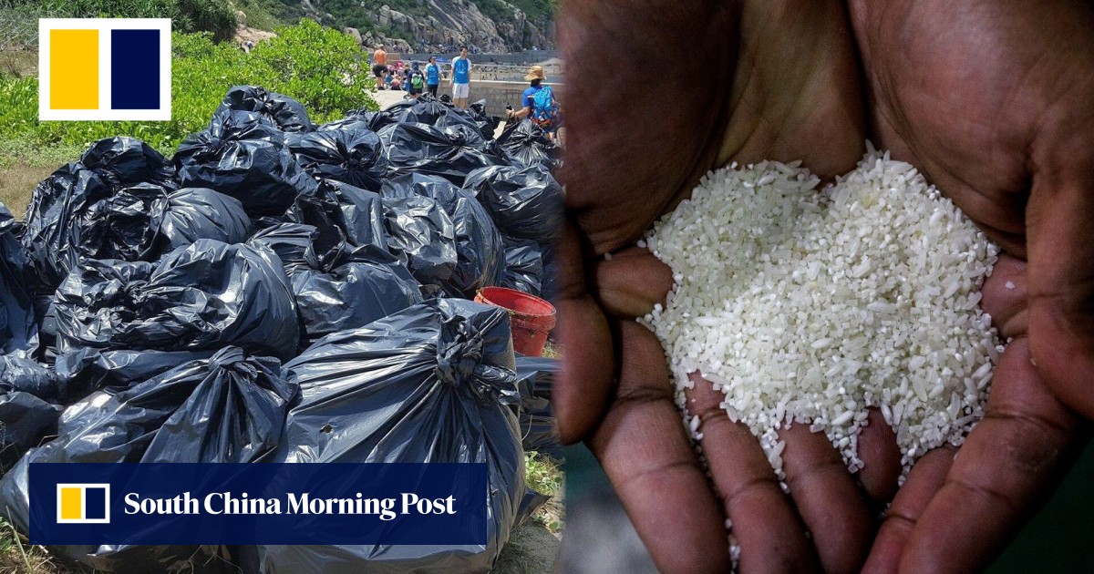 Video | Philippines diving resort exchanges beach plastic waste for ...