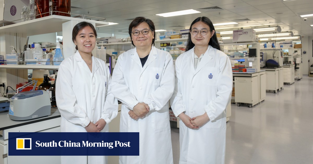 Hong Kong scientists’ breakthrough brings hope of Alzheimer’s cure ...