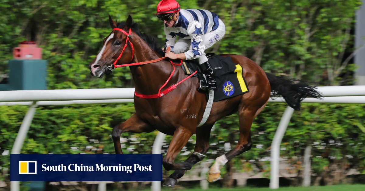Danny Shum outlines four-year-old series plans for Happy Valley duo ...