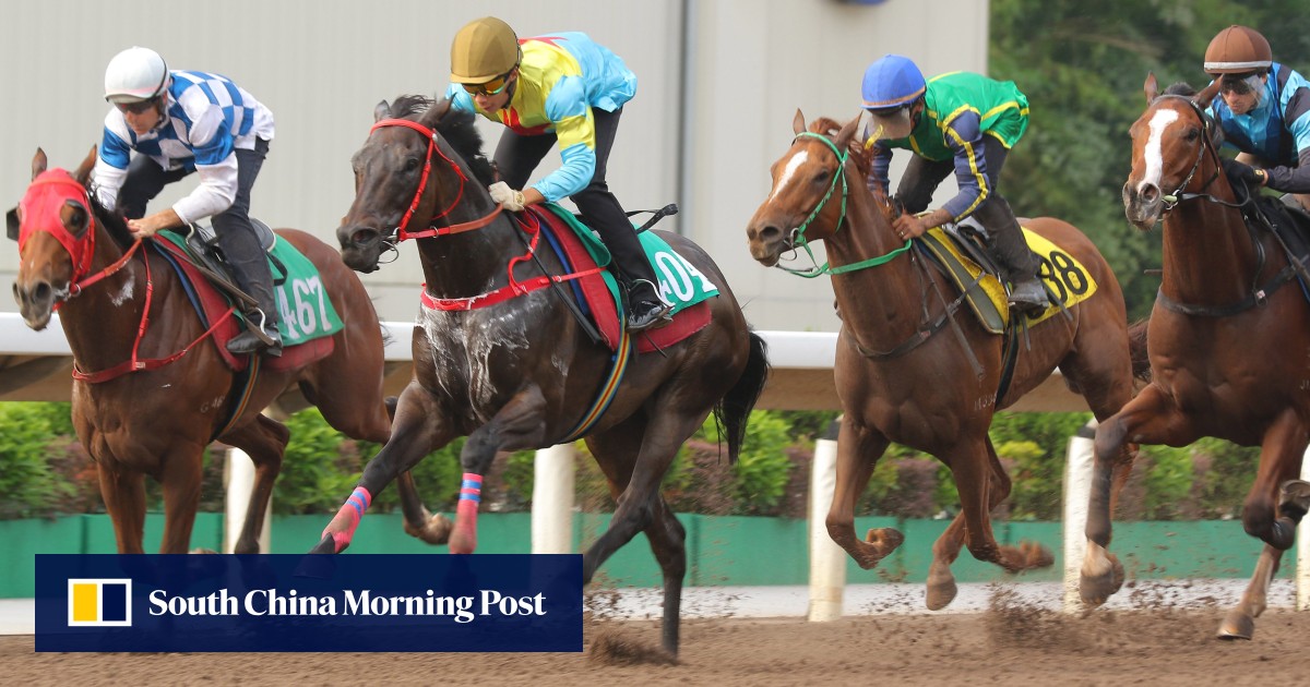 Victor The Winner one gallop away from being ‘spot on’ after Sha Tin ...