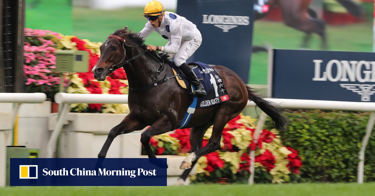 Golden Sixty, the world’s highest-earning racehorse, officially retired ...