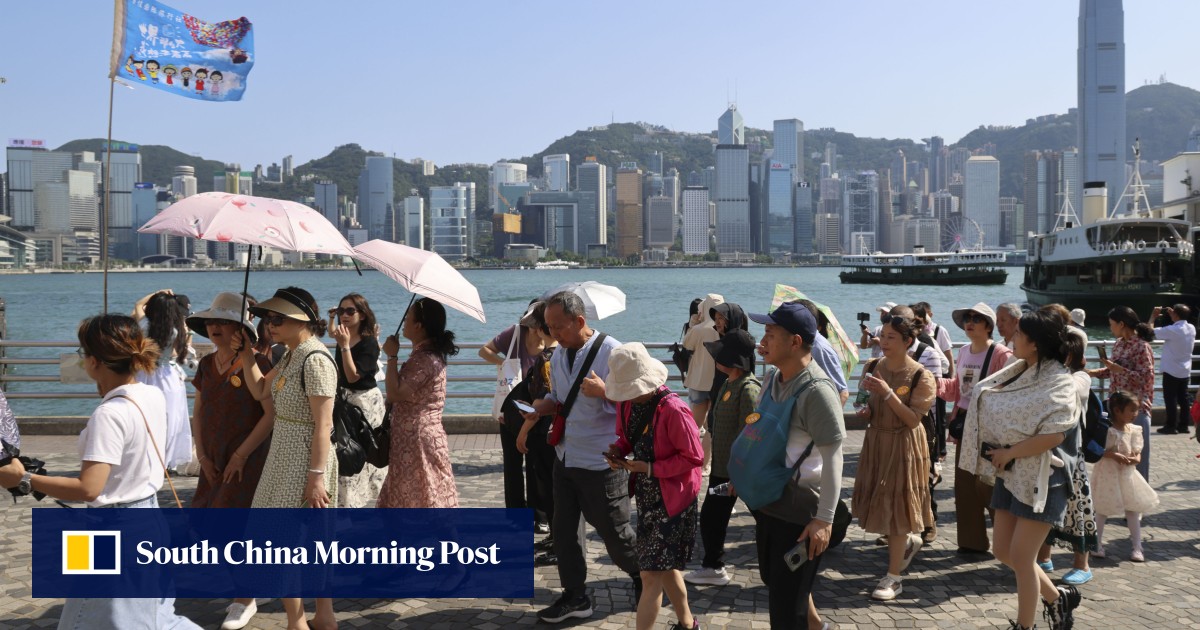 Hong Kong tour guide struck off for threatening mainland Chinese ...
