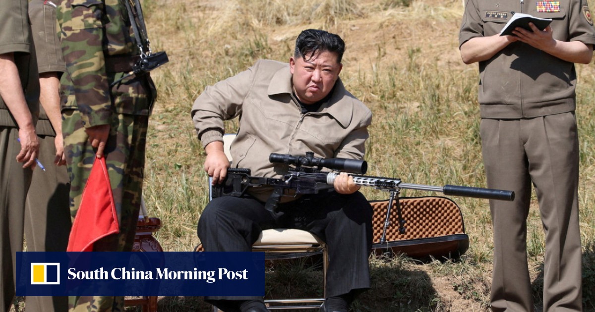 North Korea may sell nuclear bomb-making materials to rogue states ...