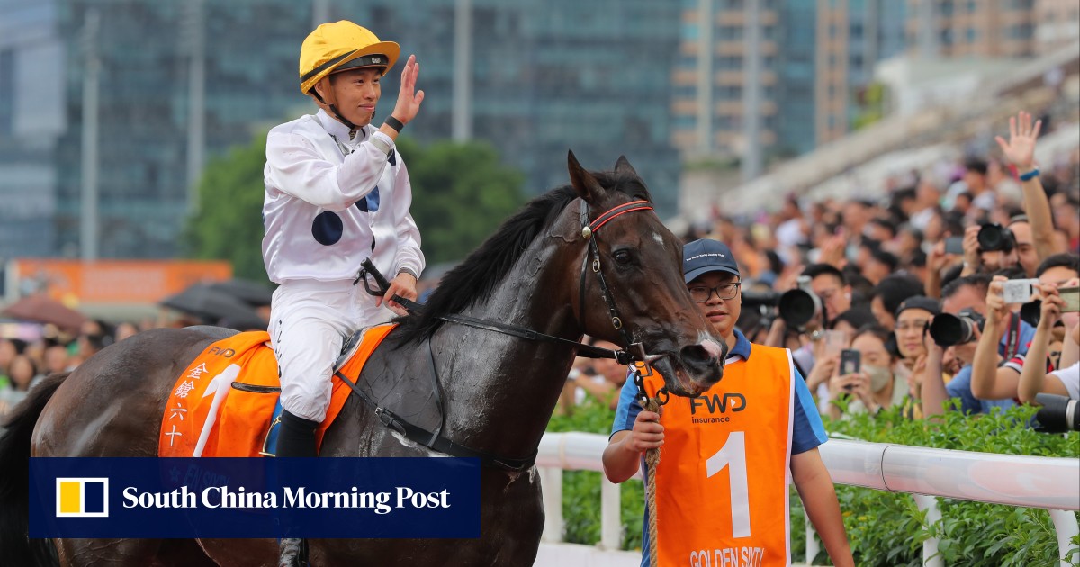 Golden Sixty through the eyes of a beaten trainer, a lucky jockey and a ...