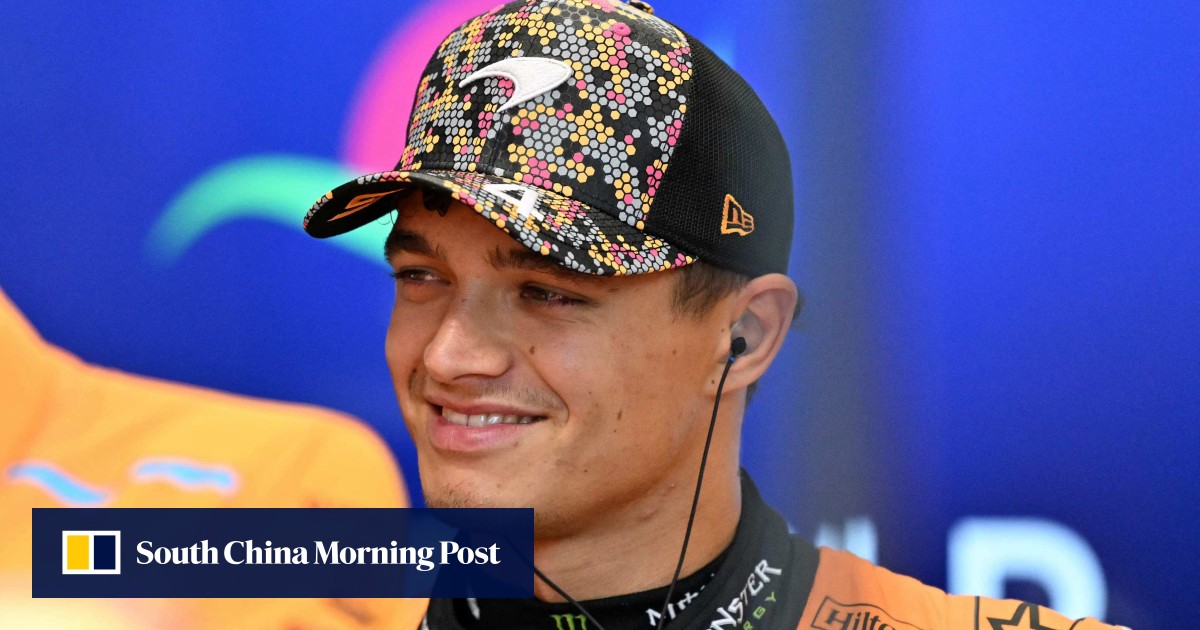 F1: Lizard on track halts final practice for Singapore Grand Prix ...