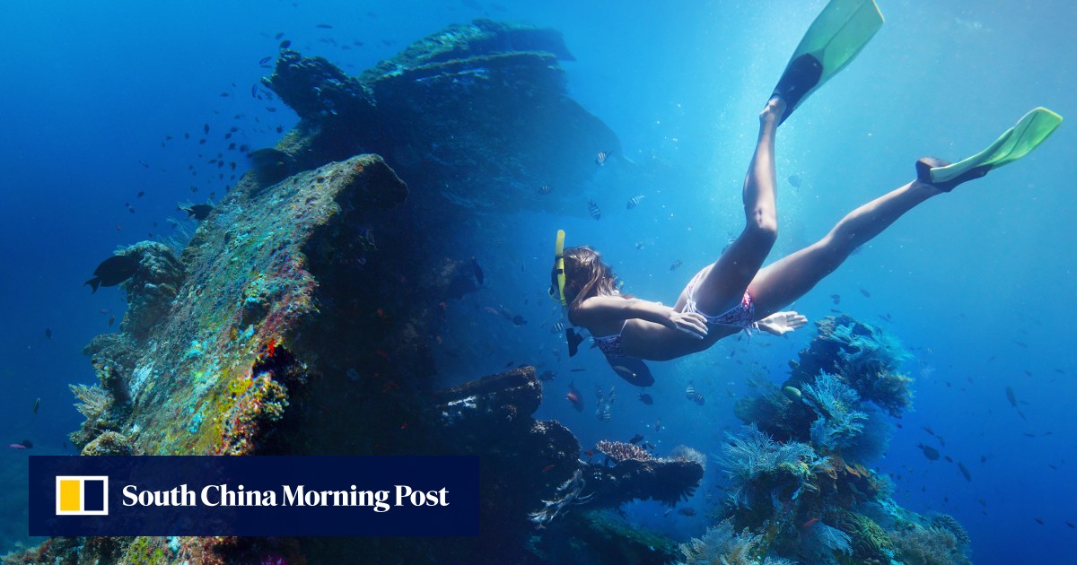 Why Southeast Asia is a wreck diving paradise with its many sunken ...