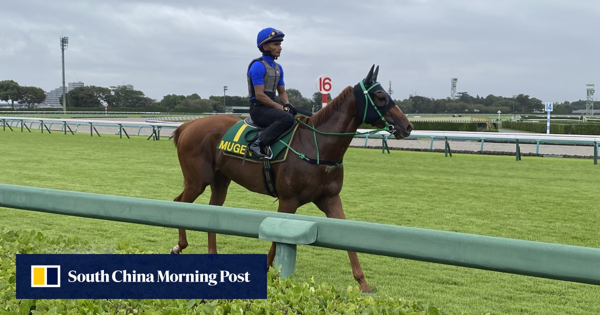 Karis Teetan set to test tricky Nakayama track ahead of Sprinters ...