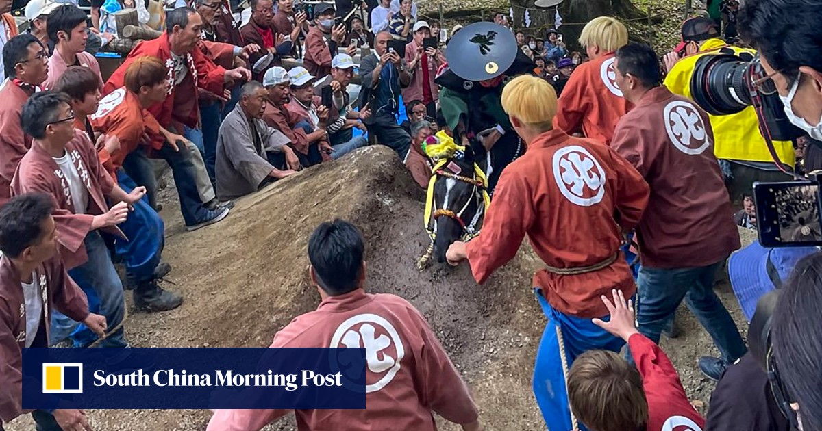 Japan’s ‘rising horse’ festival struggles to surmount animal abuse ...