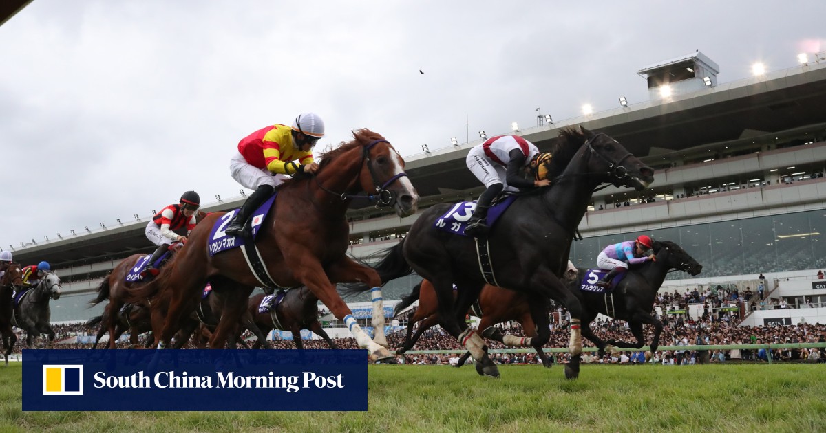 Danny Shum praises brave Victor The Winner as Hong Kong duo fall short ...