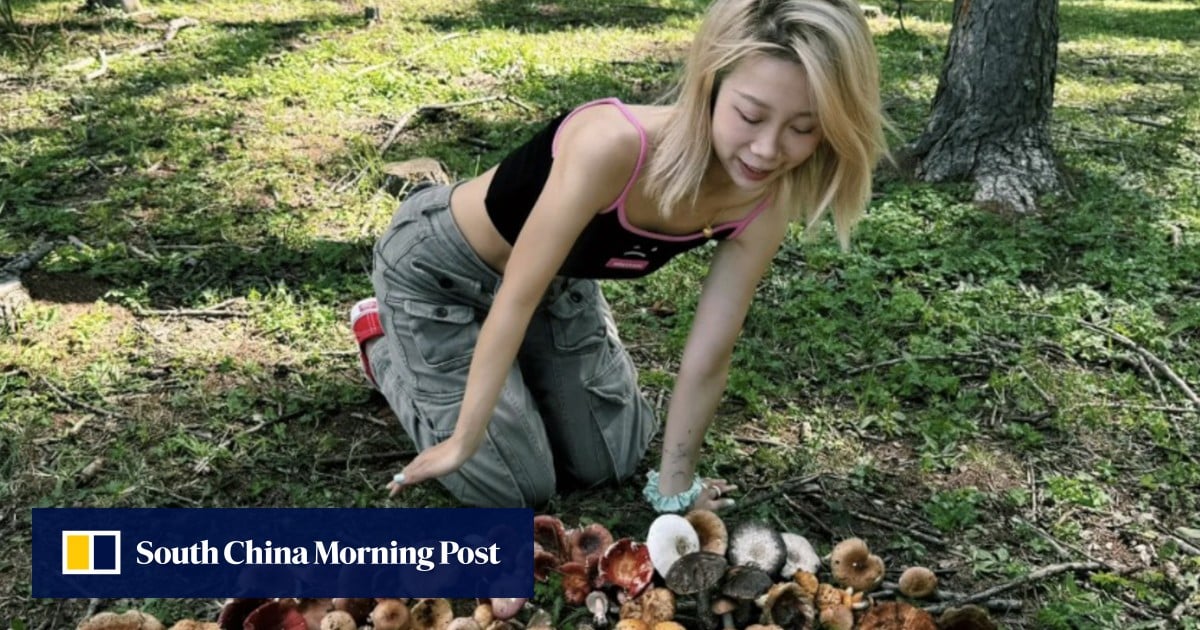 New Collecting Craze Goes Viral In China It Involves Mushrooms With