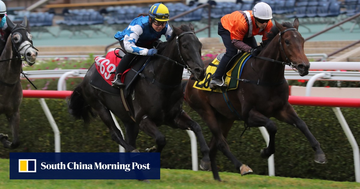 HKJC trainee apprentice Ivy Lam expected to avoid surgery after nasty ...