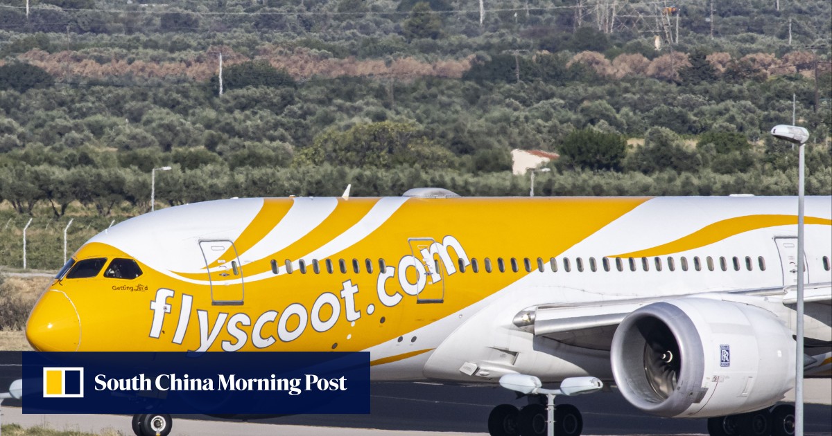 Singapore Airlines, Scoot to offer 420,000 cheap tickets, putting heat ...