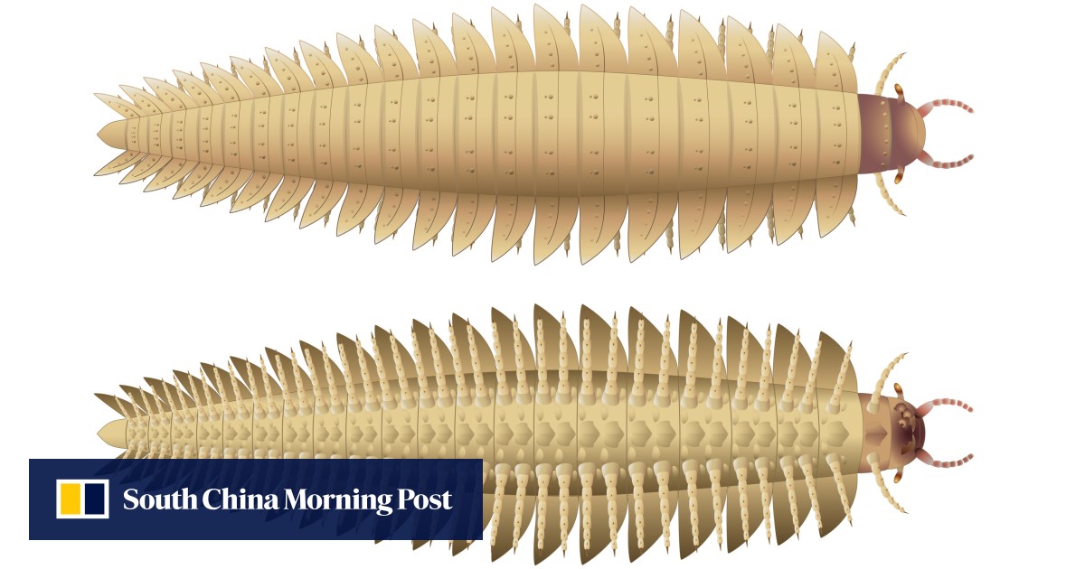 What did the biggest bug to ever crawl the Earth look like? Scientists ...