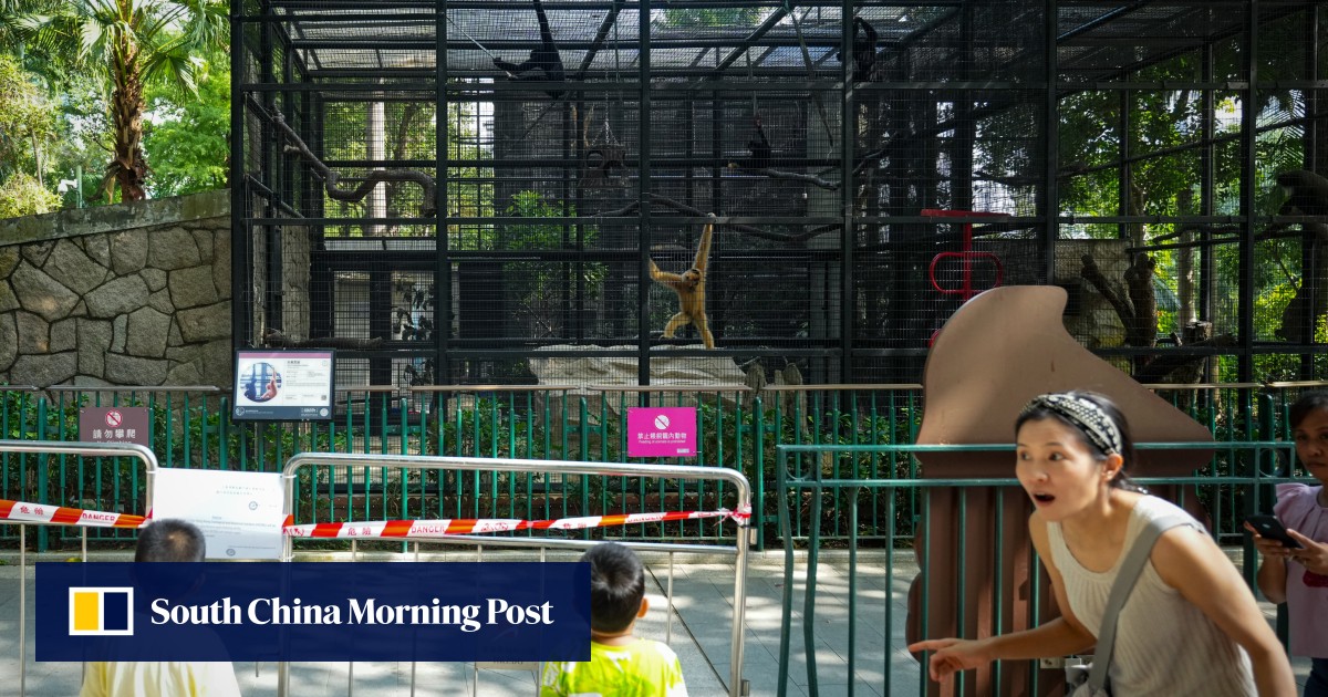 Hong Kong’s John Lee says sudden monkey deaths ‘must be contained ...