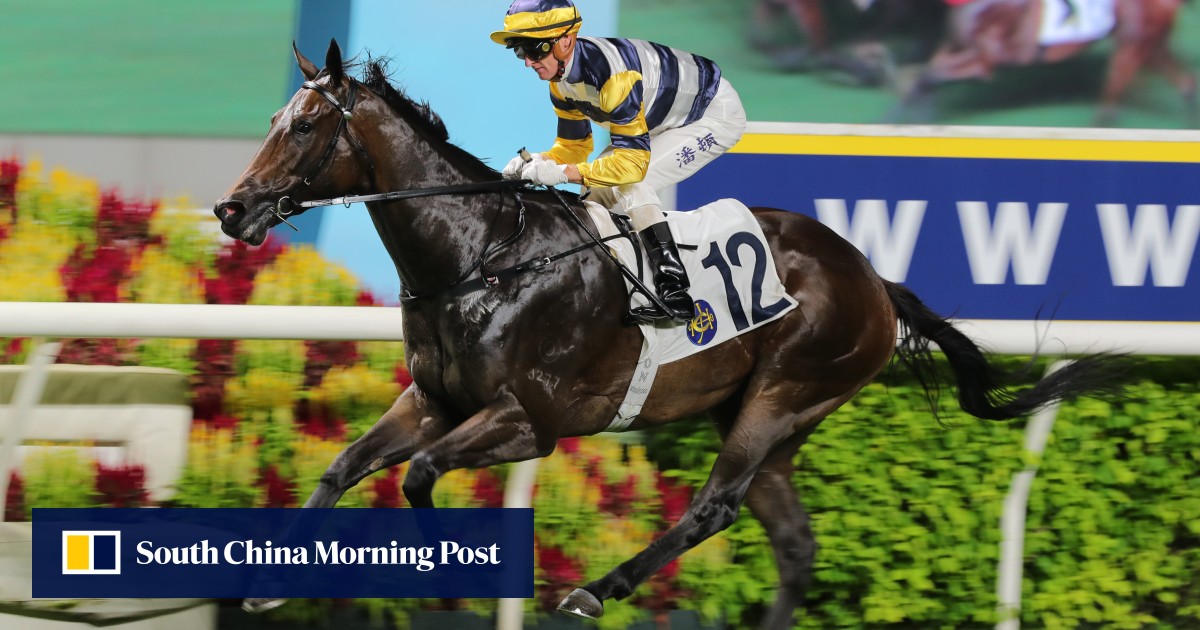 Francis Lui hopes Hermod can send rivals Packing: ‘He’s ready to go ...