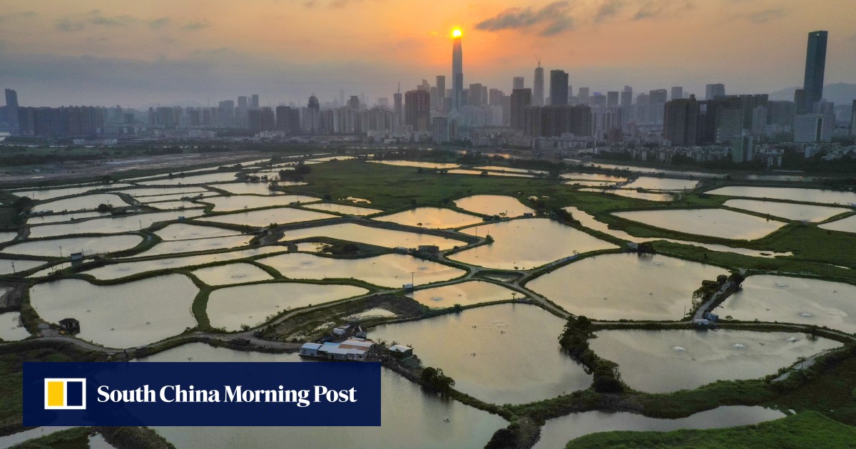 Consultant lays out vision for wetland park creation in Hong Kong’s ...