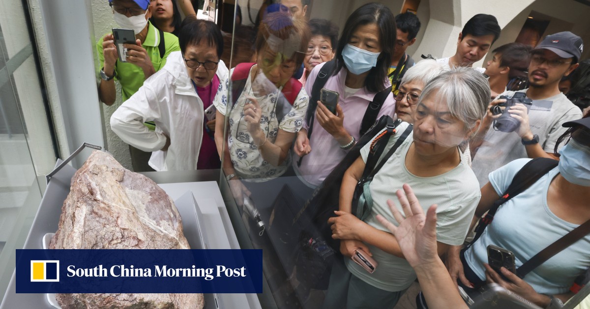 Hong Kong dinosaur fossil exhibit debuts to fanfare, but some say ...