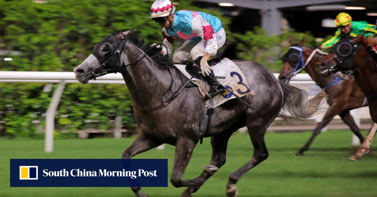 Matthew Chadwick puts faith in progressive Red Elegance: ‘He’ll run ...