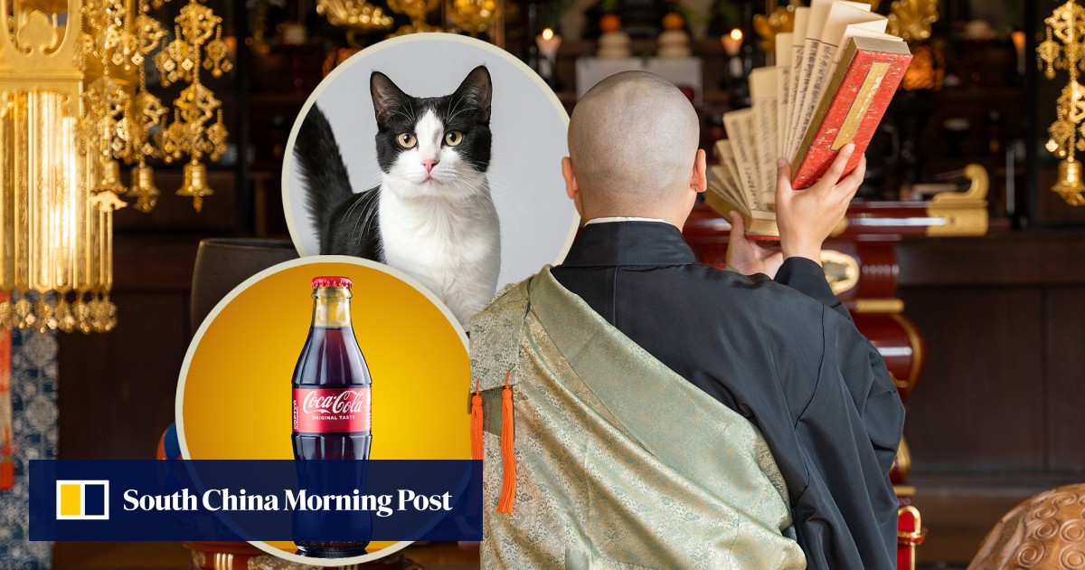 Japan temple abbot shares wisdom, cat photos, compares people to cola ...