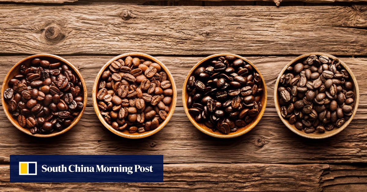 Why the world needs more varieties of coffee, as Starbucks trials new ...