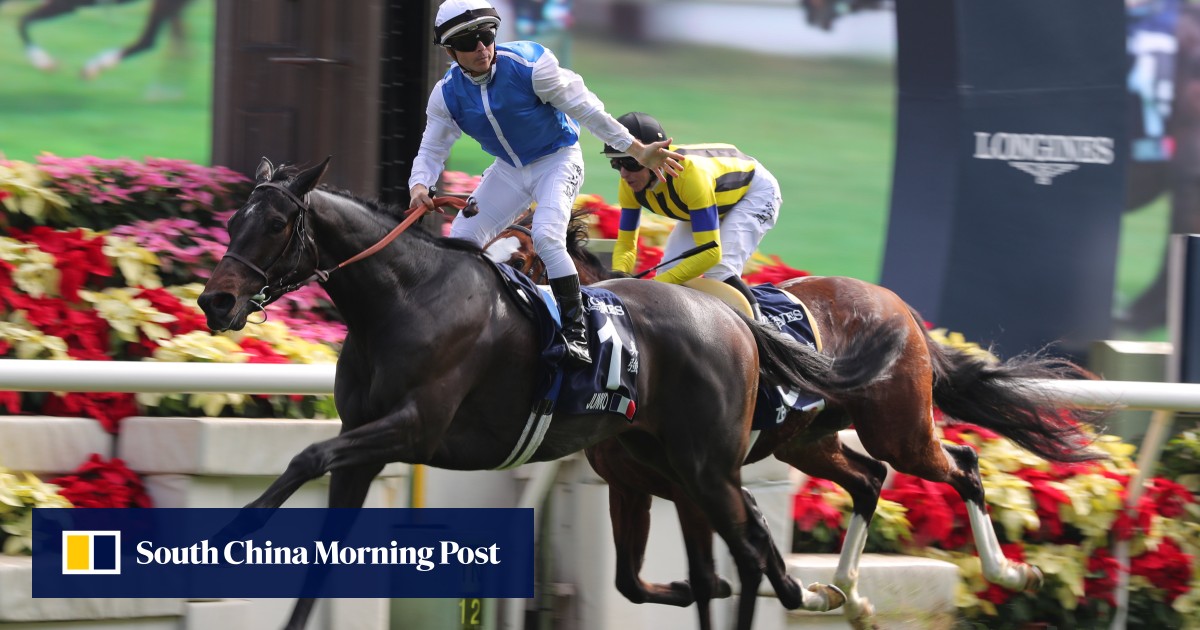 Sha Tin-bound Straight out to follow in footsteps of Hong Kong Vase ...