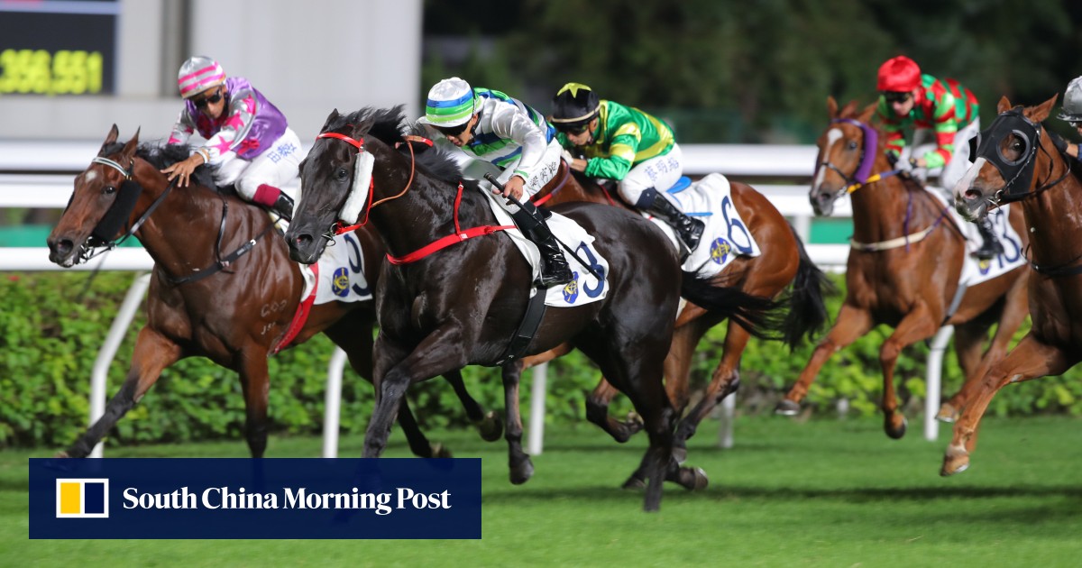 ‘World class’ Hong Kong racing can boost tourism across GBA, Jockey Club chief says | HK Racing ...