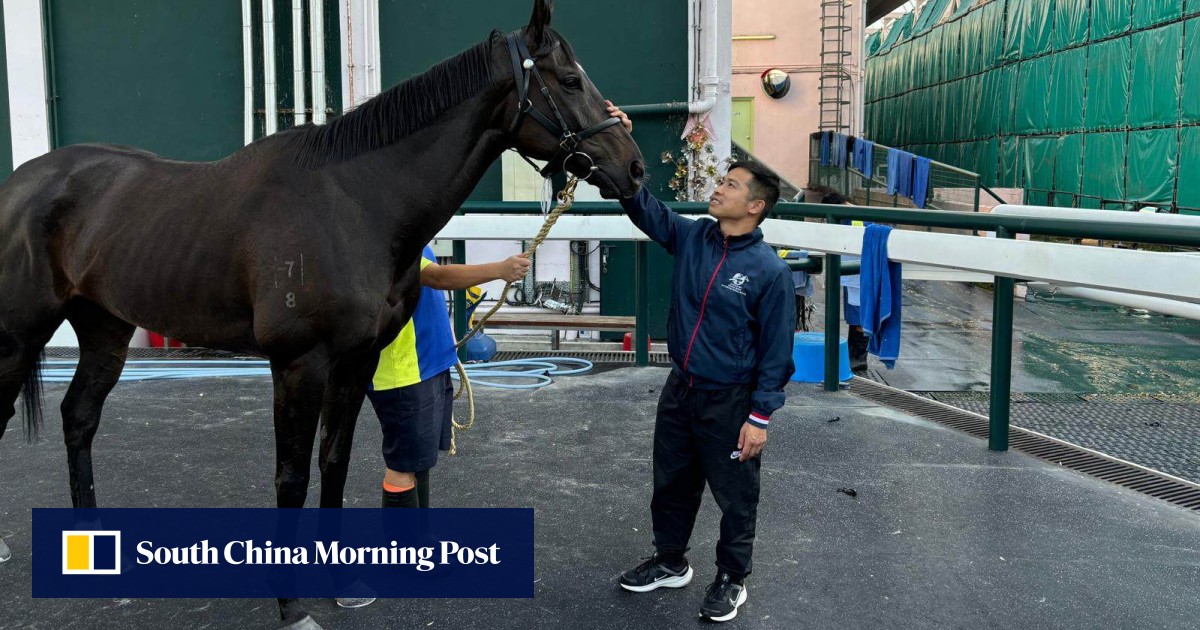 Assistant trainer Roy Cheung enjoys added responsibility as Benno Yung ...