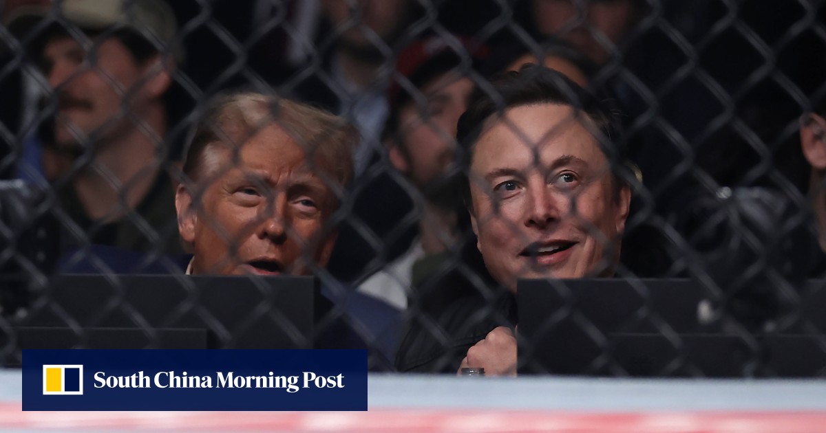 Trump Treasury secretary pick in flux as jockeying slows selection and ...