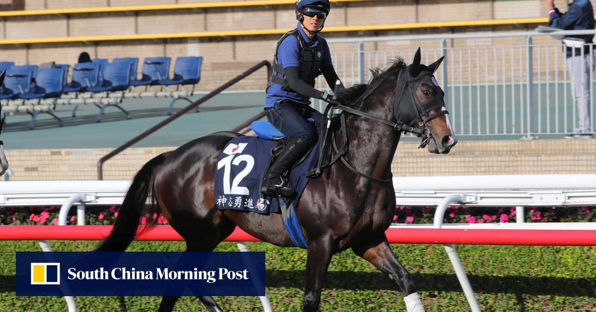 Six Group One winners feature in wide-open Hong Kong Mile in absence of ...