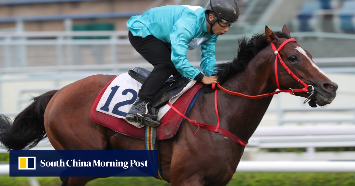 Andrea Atzeni chases weekend success with Danny Shum’s exciting ...