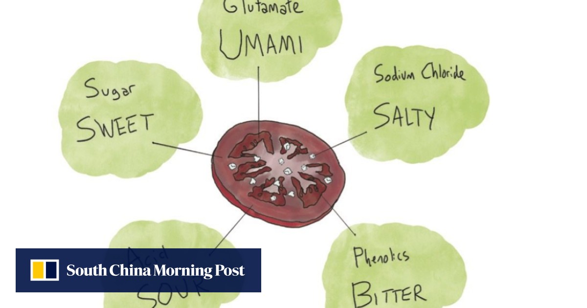 Food scientist’s book Flavorama unlocks secrets of flavour, chefs call ...