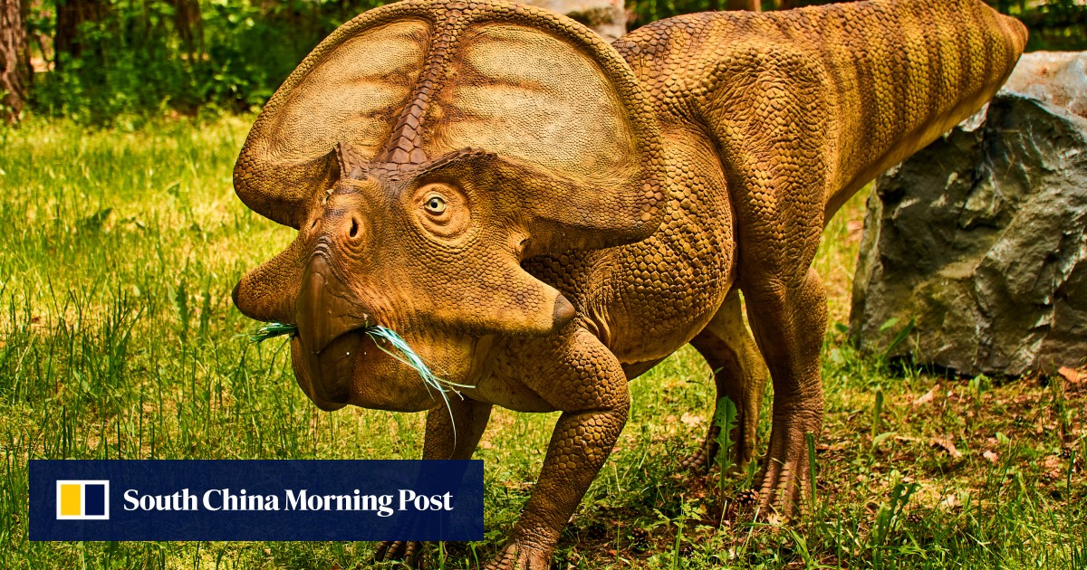 Dinosaurs grew stupid over time – and the same could happen to humans ...