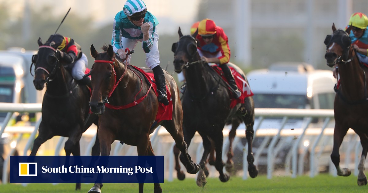 Danny Shum reveals change of plans for Dubai-bound Romantic Warrior ...