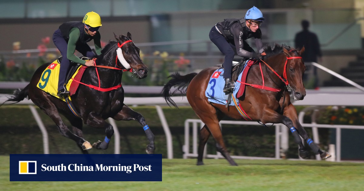 HKIR: Watch the last start of every Hong Kong Cup runner, including ...