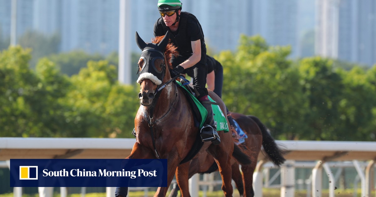 HKIR: Watch the last start of every Hong Kong Vase runner | HK Racing ...