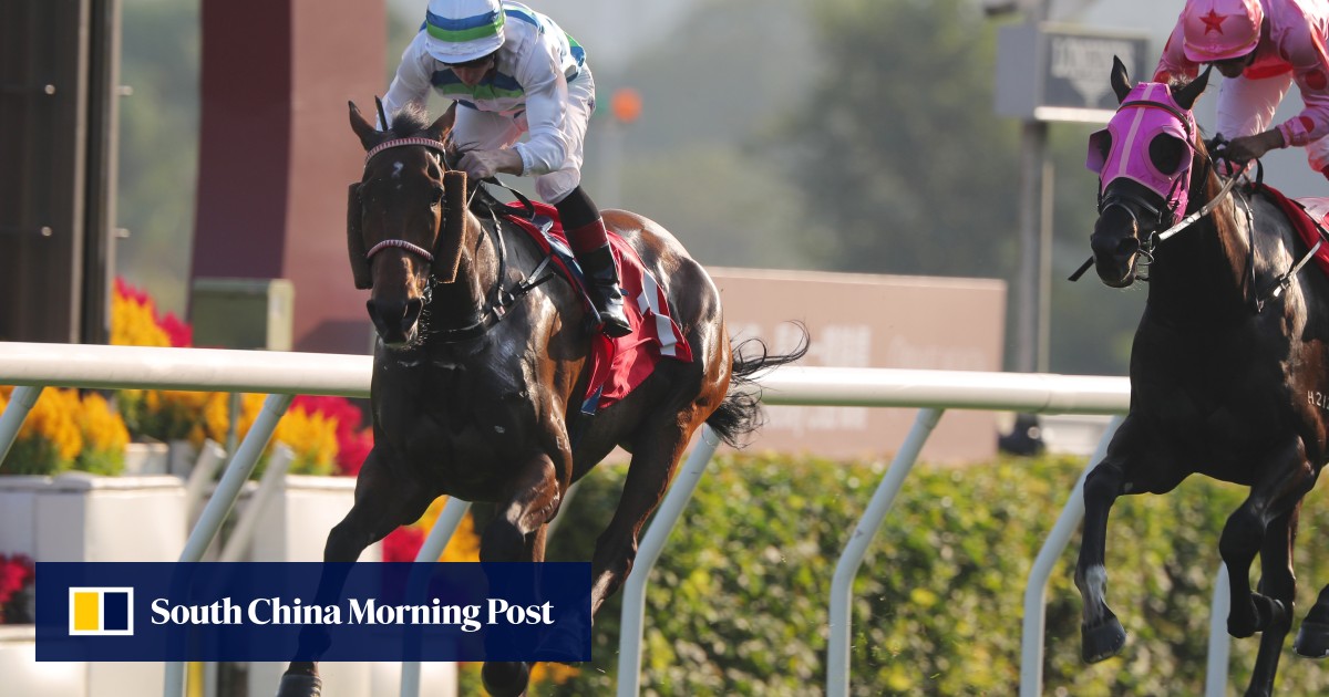 HKIR: Watch the last start of every Hong Kong Mile contender | HK ...