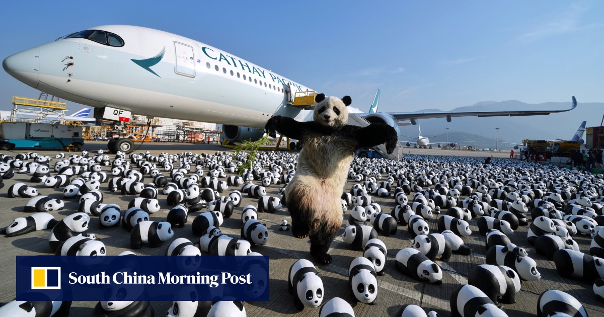 Japanese studio creates ‘Ferrari’ of panda costumes to help promote ...